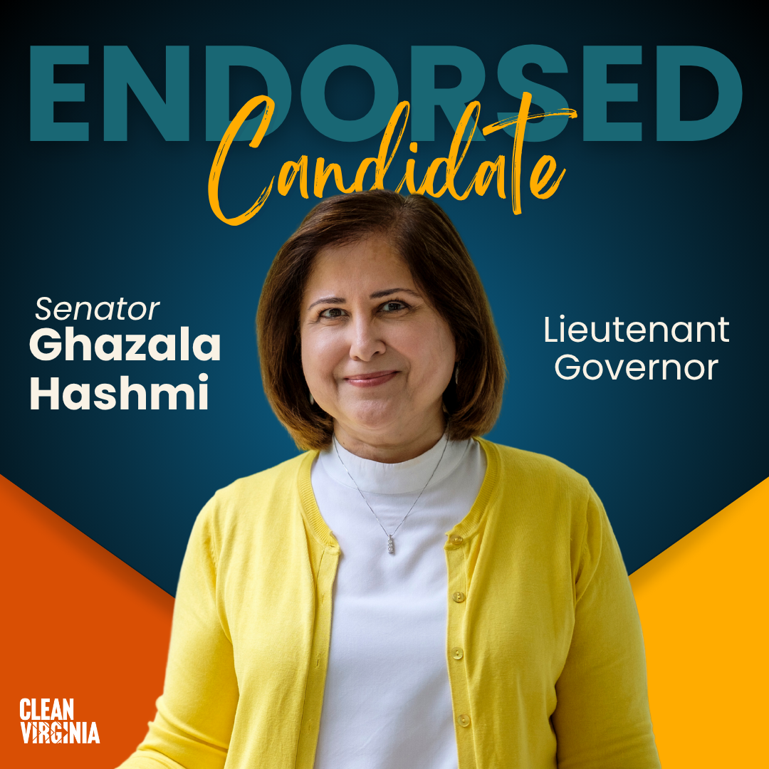 Ghazala Hashmi - Clean Virginia